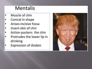 Muscles of Face and Cranial Nerves.pptx