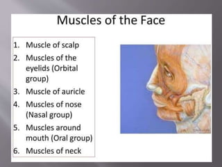 Muscles of Face and Cranial Nerves.pptx