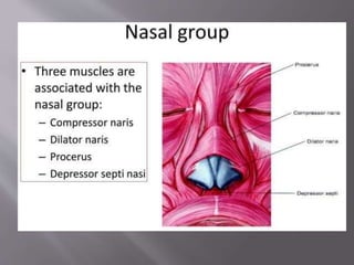 Muscles of Face and Cranial Nerves.pptx