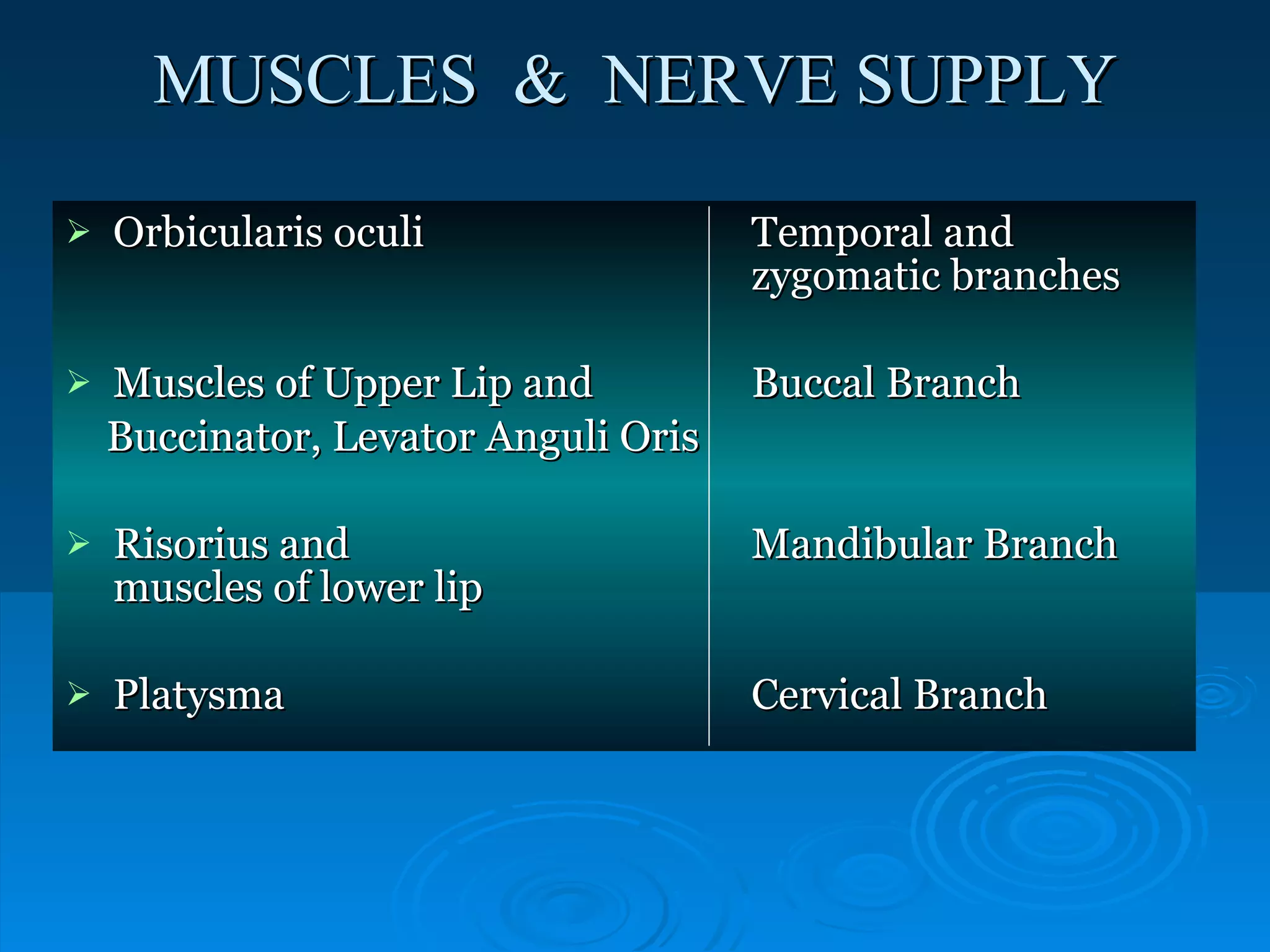 Muscles Of Facial Expression | PPT