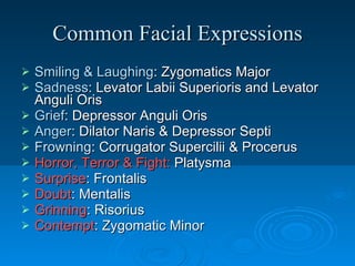 Muscles Of Facial Expression | PPT