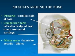 Muscles Of Facial Expression | PPT