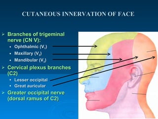 Muscles Of Facial Expression | PPT