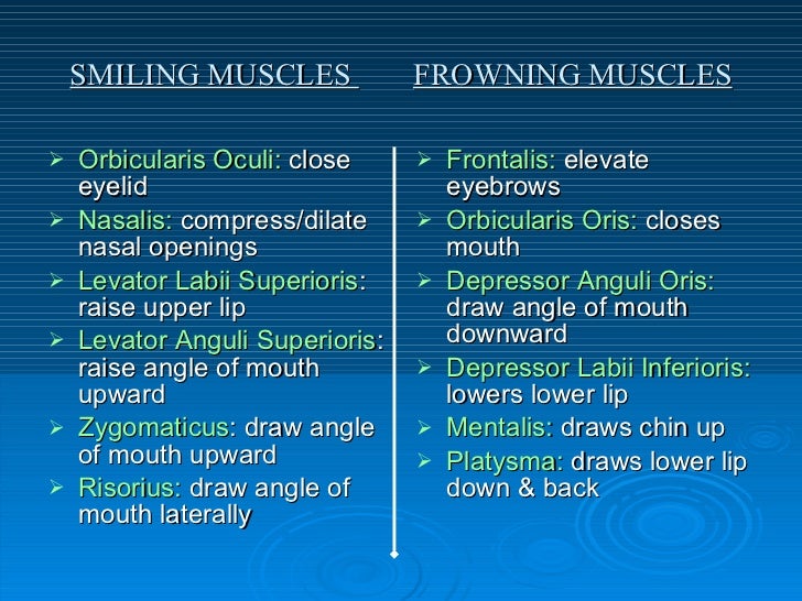 Muscles Of Facial Expression