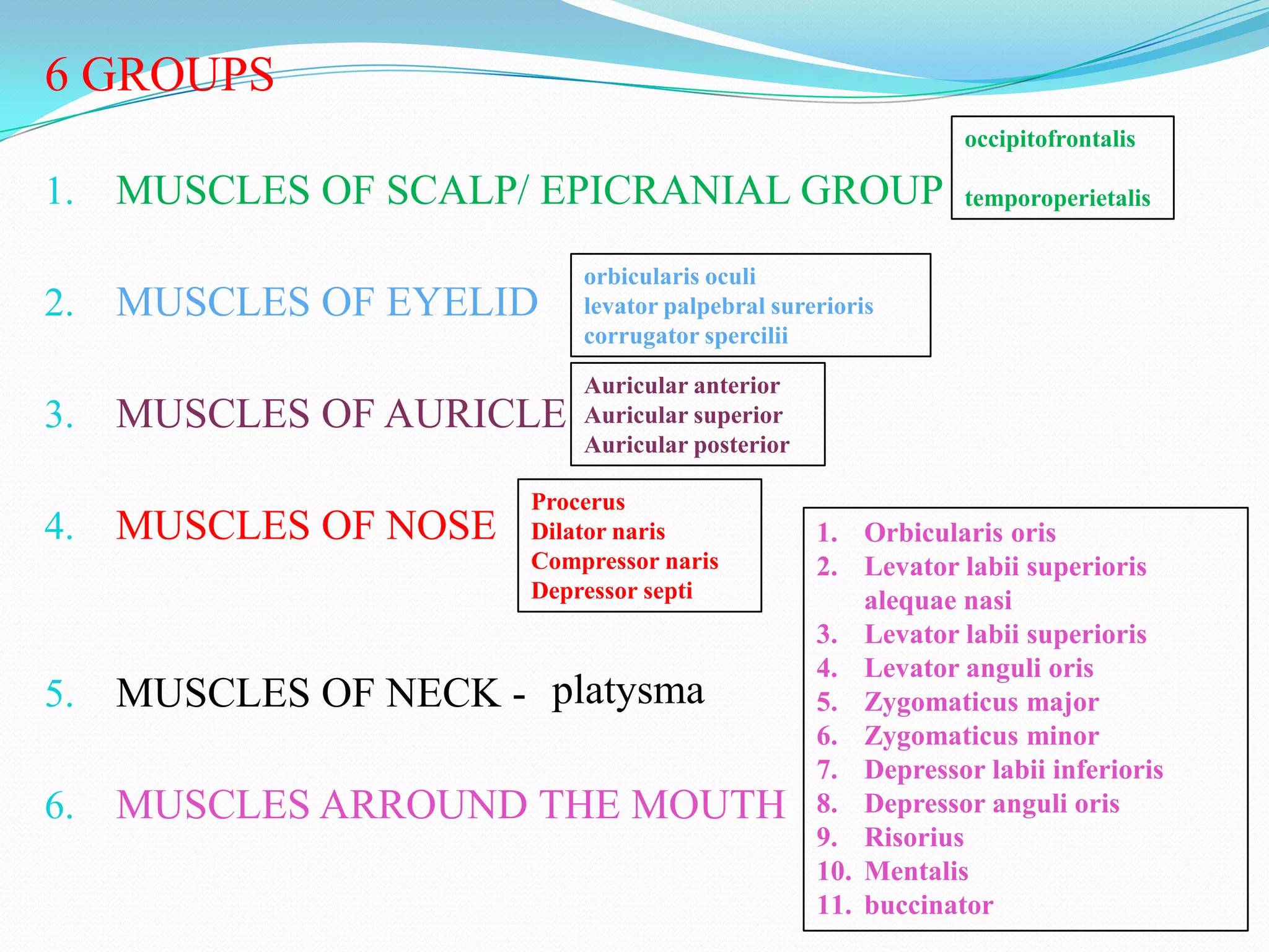 Muscles of facial expression | PPTX