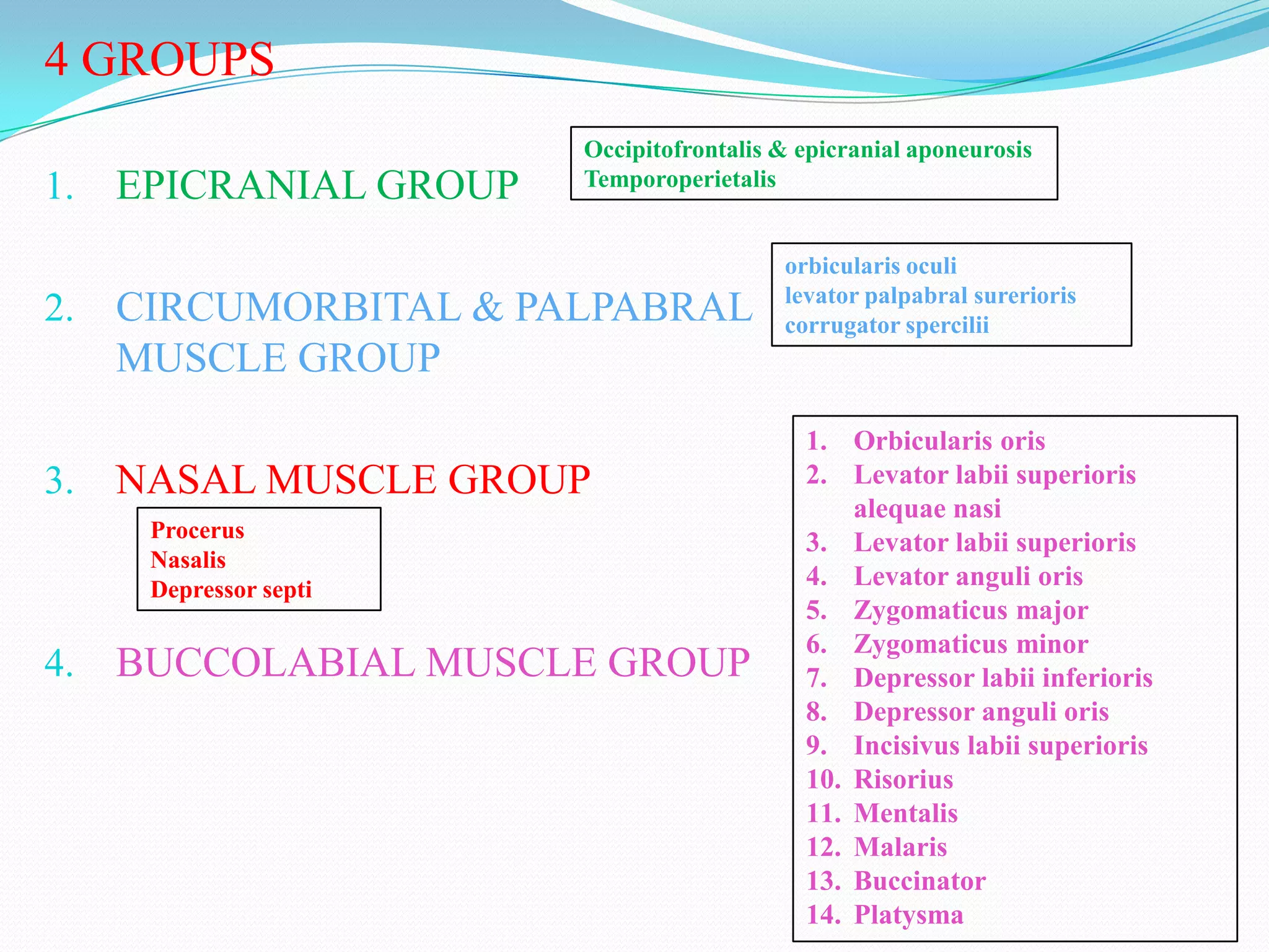 Muscles of facial expression | PPTX