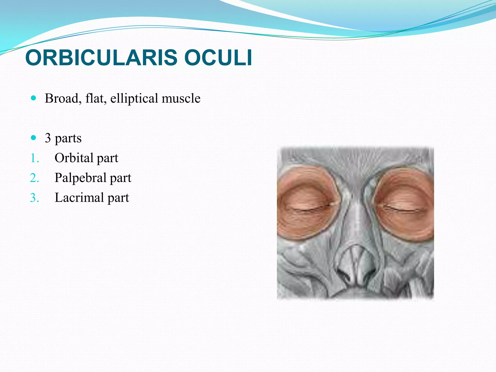 Muscles of facial expression | PPTX