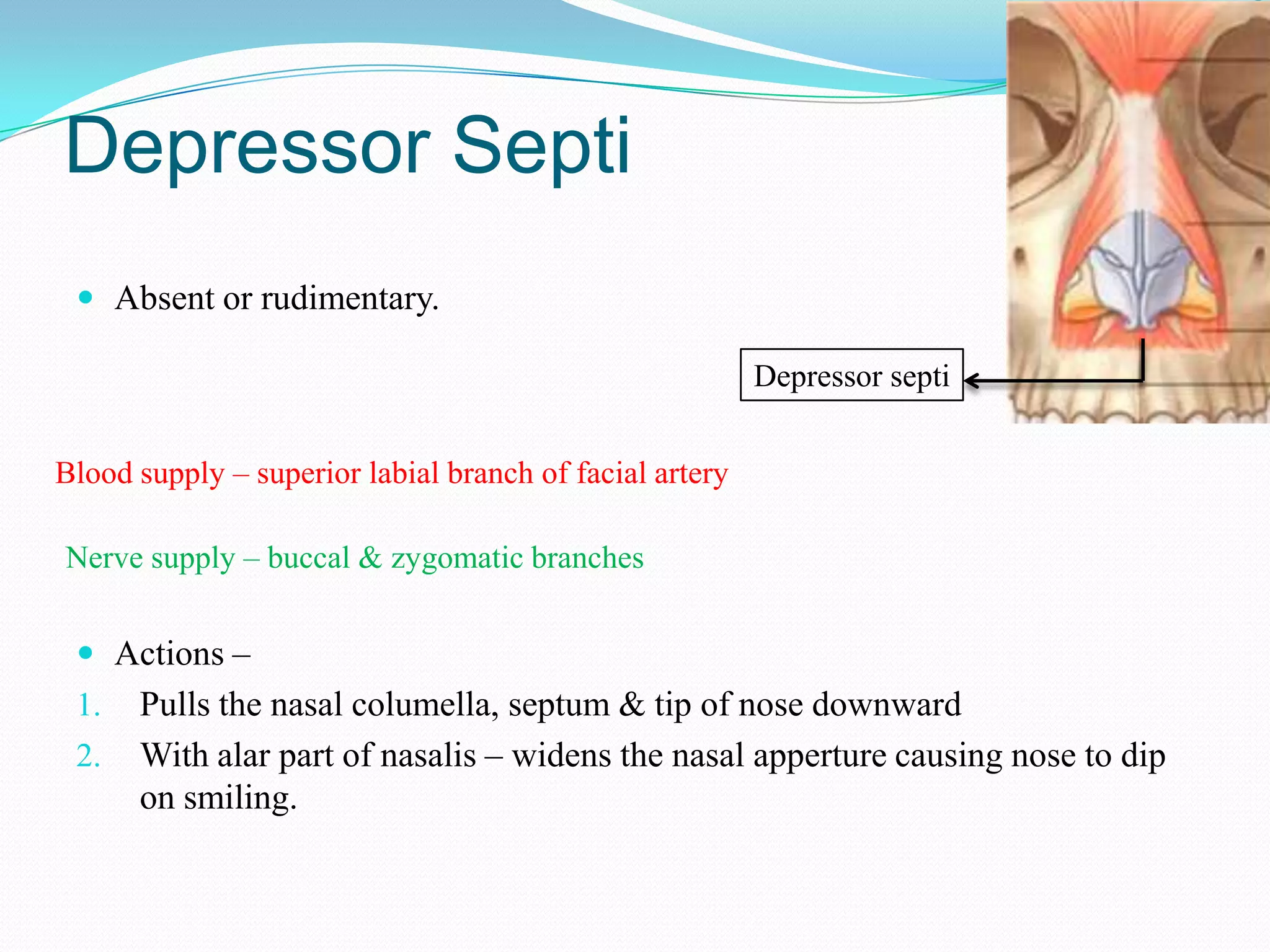 Muscles of facial expression | PPTX