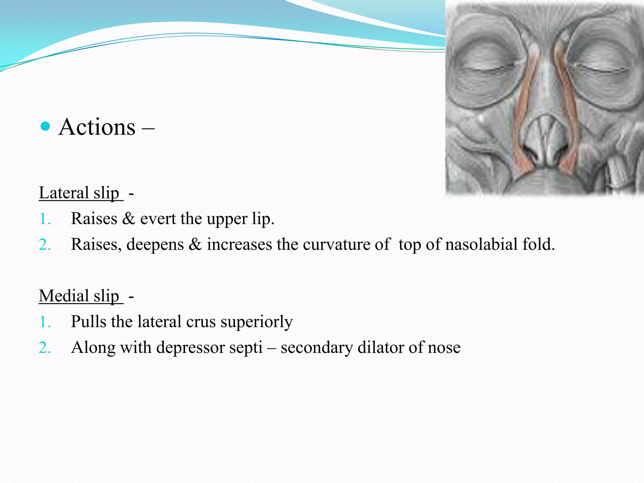 Muscles of facial expression | PPTX