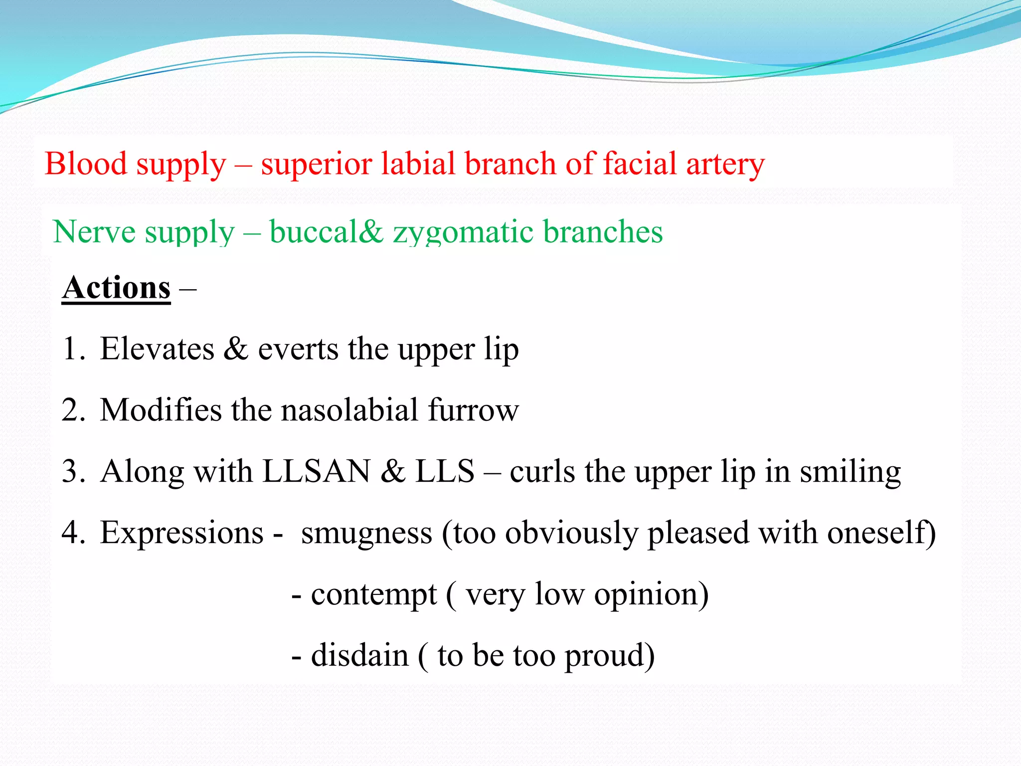 Muscles of facial expression | PPTX