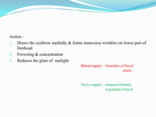 Muscles of facial expression | PPTX