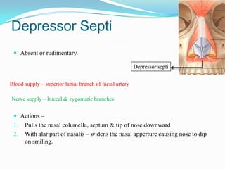 Muscles of facial expression | PPTX