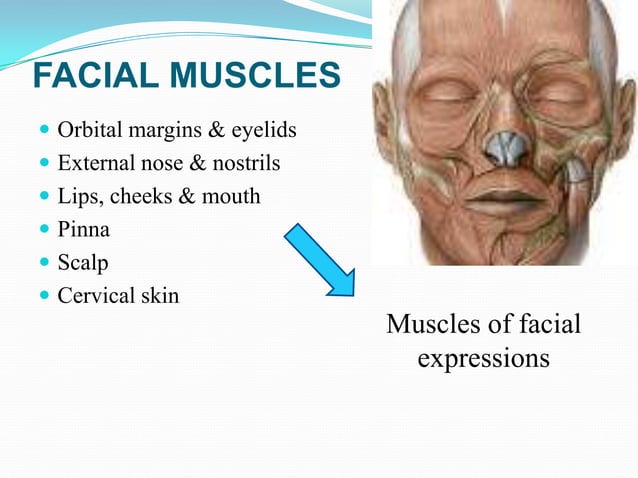 Muscles of facial expression | PPTX