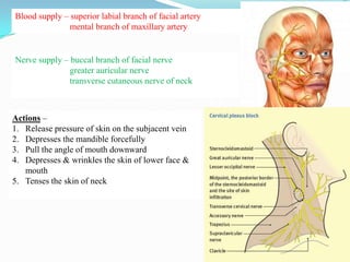 Muscles of facial expression | PPTX