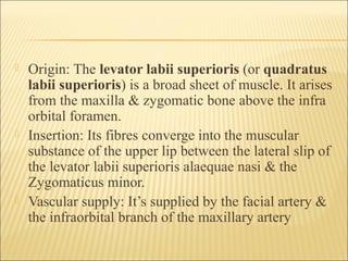 Muscles of facial expression By dr. vijay Makasana | PPT