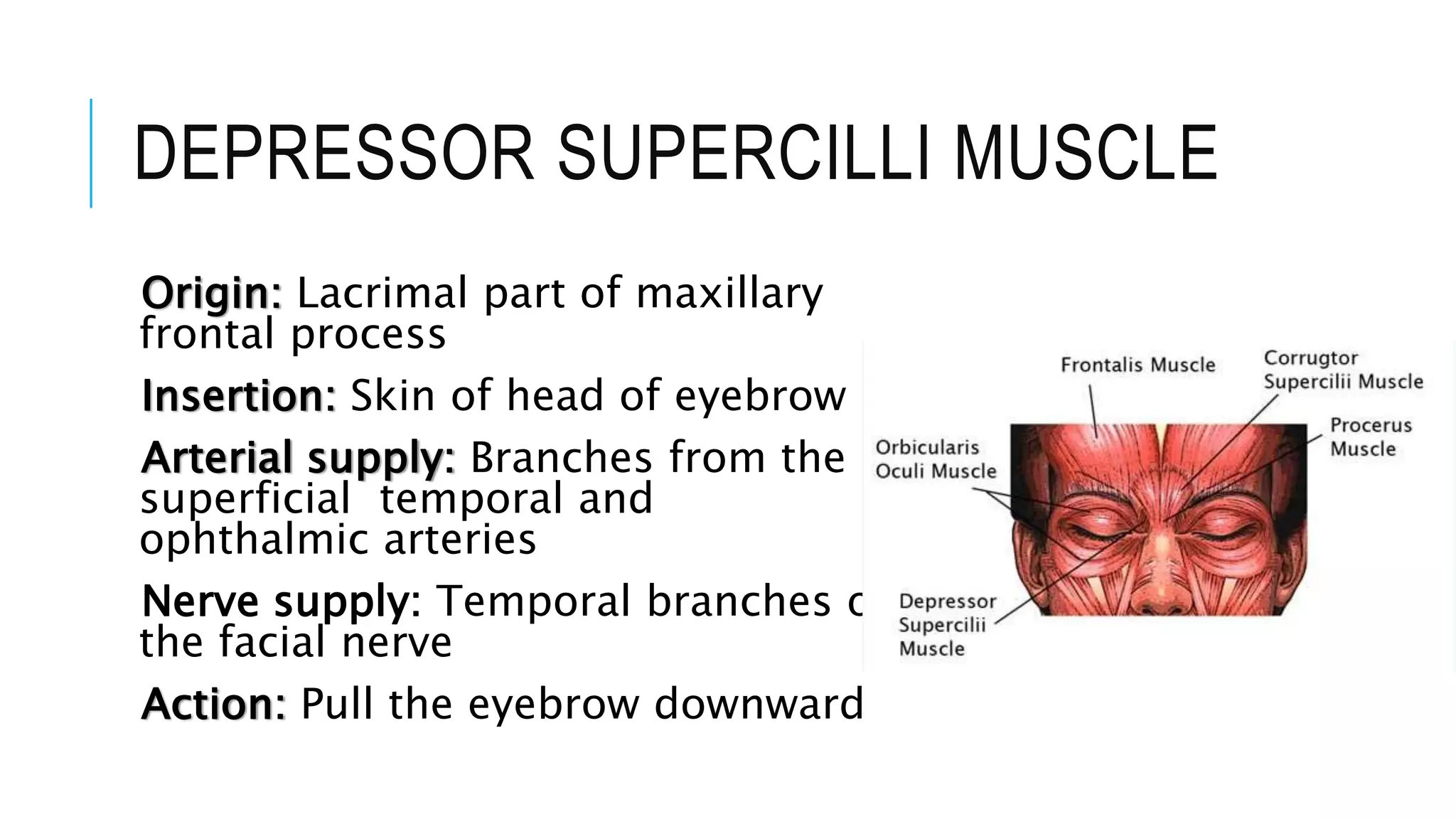 Muscles of facial expression | PPTX
