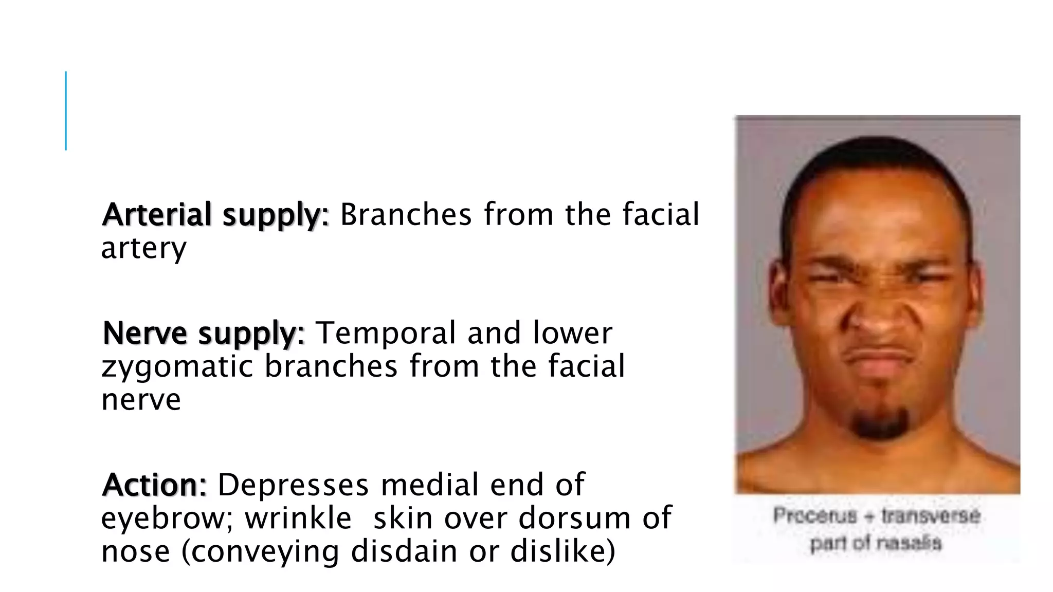 Muscles of facial expression | PPTX