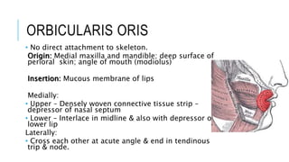 Muscles of facial expression | PPTX