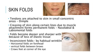 Muscles of facial expression | PPTX
