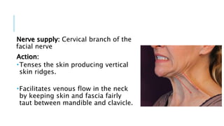 Muscles of facial expression | PPTX
