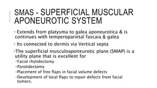 Muscles of facial expression | PPT