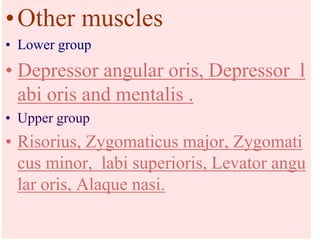 Muscles of Facial expression .pptx