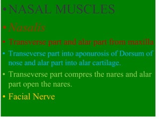 Muscles of Facial expression .pptx