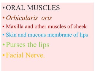 Muscles of Facial expression .pptx