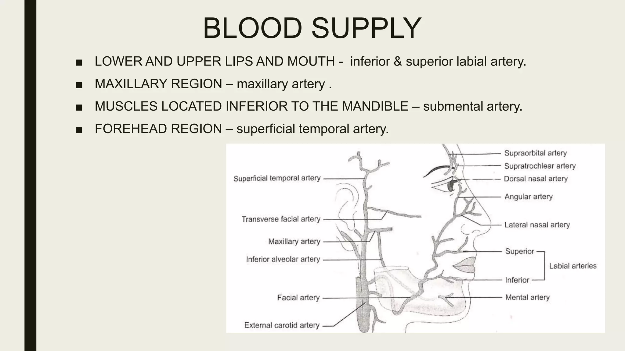 MUSCLES OF FACIAL EXPRESSION.pptx