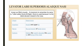 MUSCLES OF FACIAL EXPRESSION.pptx