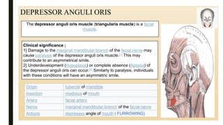 MUSCLES OF FACIAL EXPRESSION.pptx