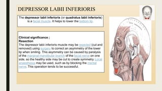 MUSCLES OF FACIAL EXPRESSION.pptx
