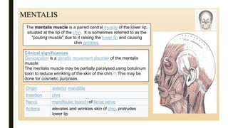 MUSCLES OF FACIAL EXPRESSION.pptx