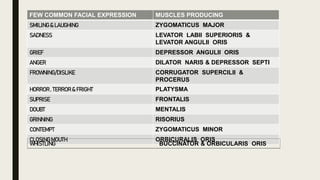 MUSCLES OF FACIAL EXPRESSION.pptx