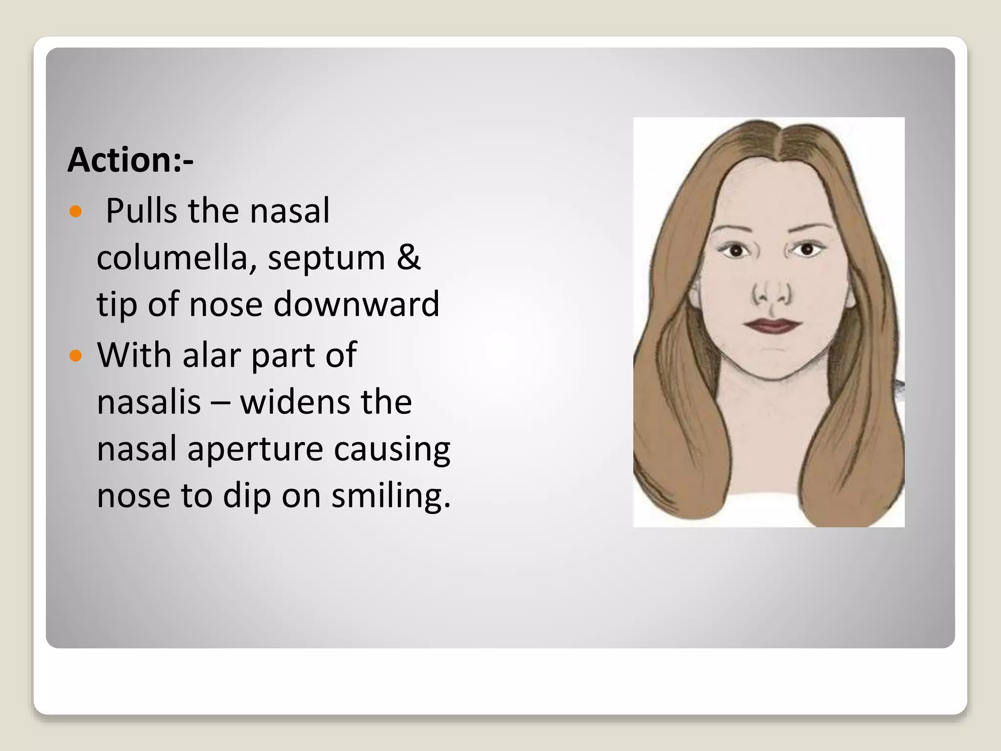 MUSCLES OF FACIAL EXPRESSION.pptx | Bodybuilding | Sports