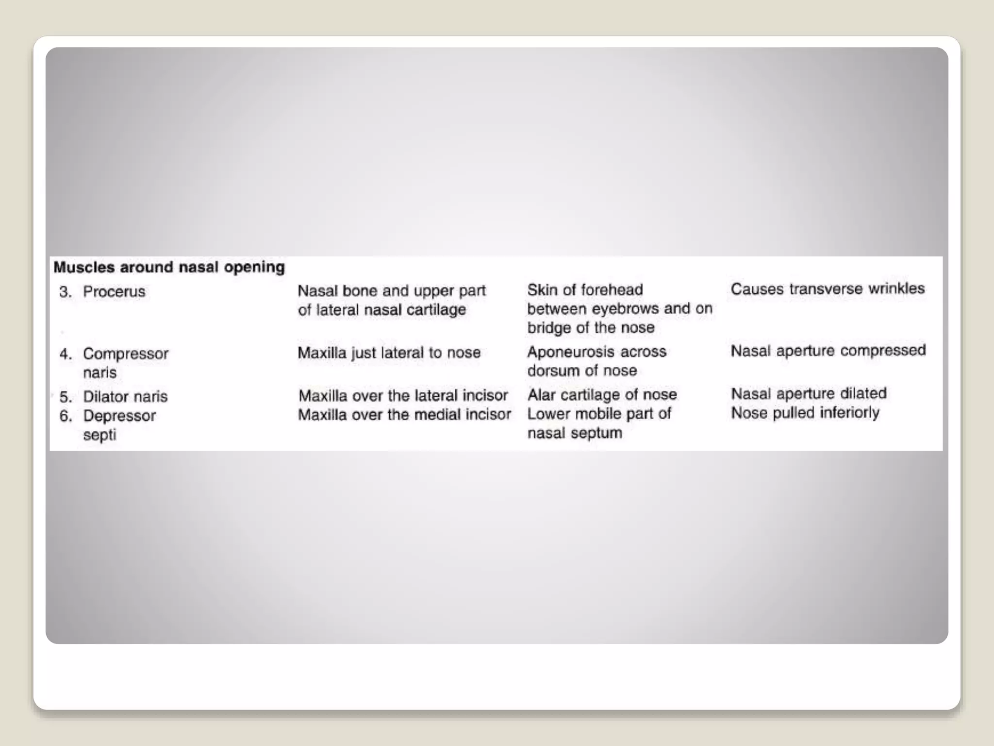 MUSCLES OF FACIAL EXPRESSION.pptx | Bodybuilding | Sports