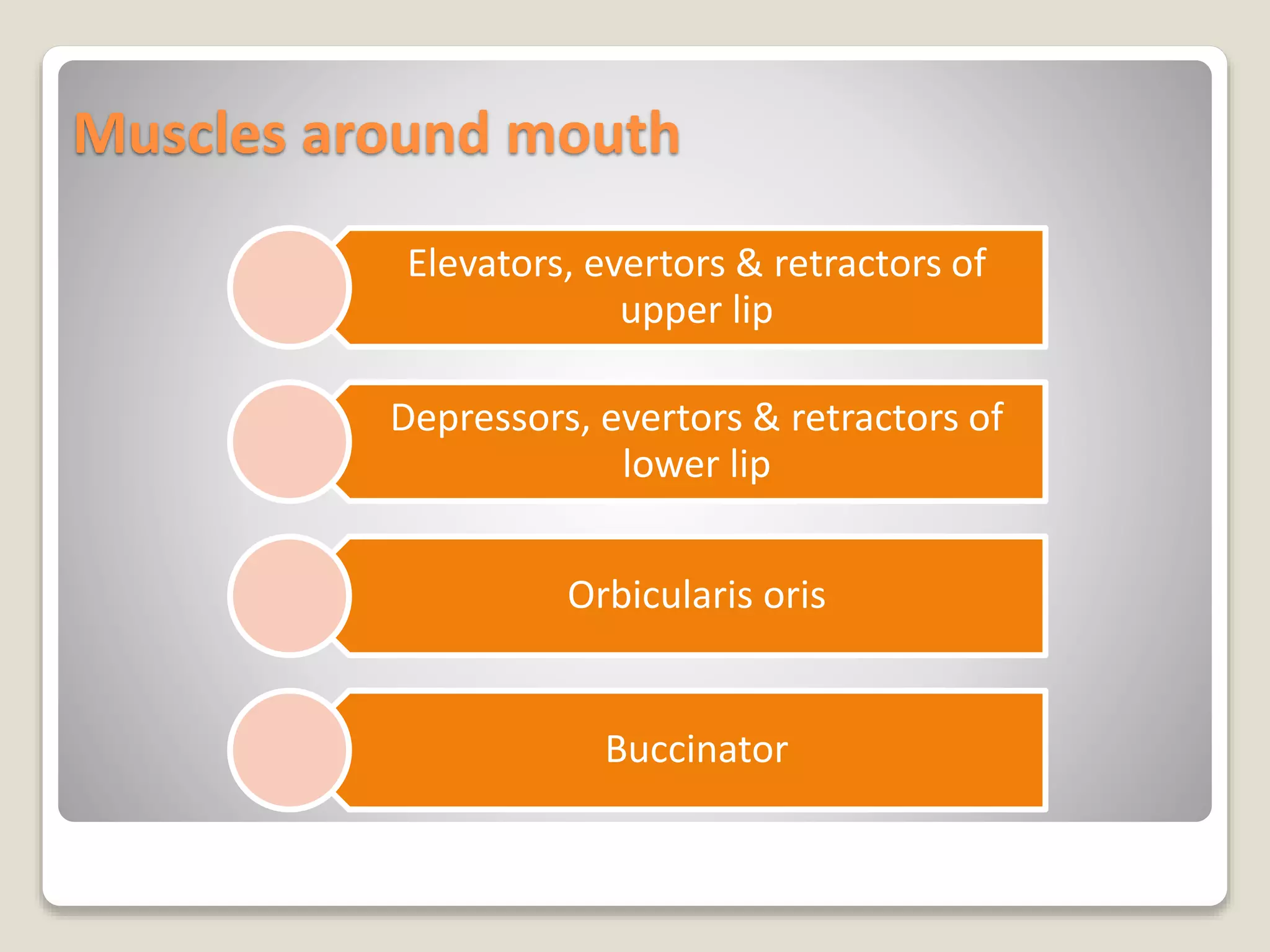MUSCLES OF FACIAL EXPRESSION.pptx | Bodybuilding | Sports
