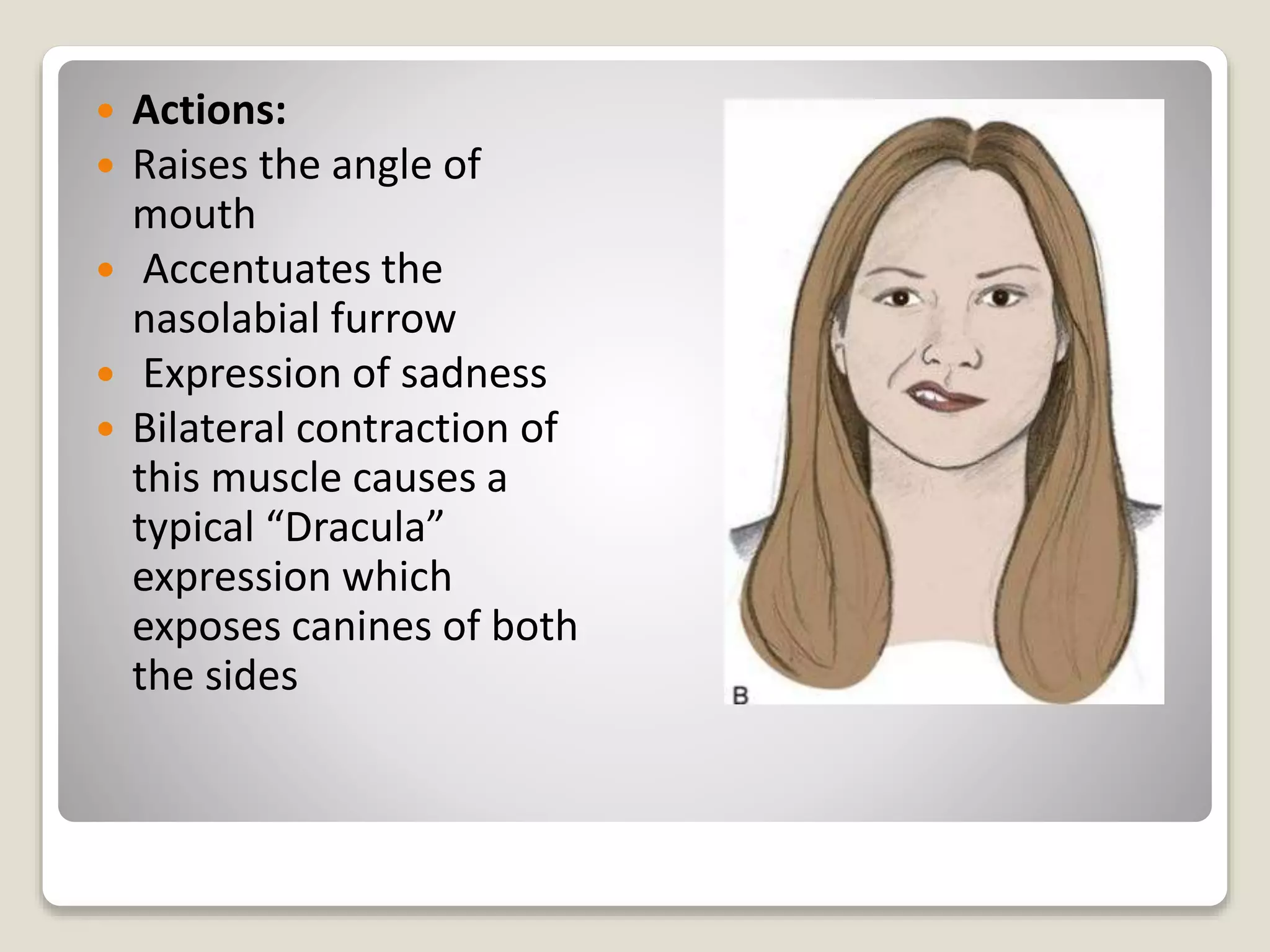 MUSCLES OF FACIAL EXPRESSION.pptx | Bodybuilding | Sports