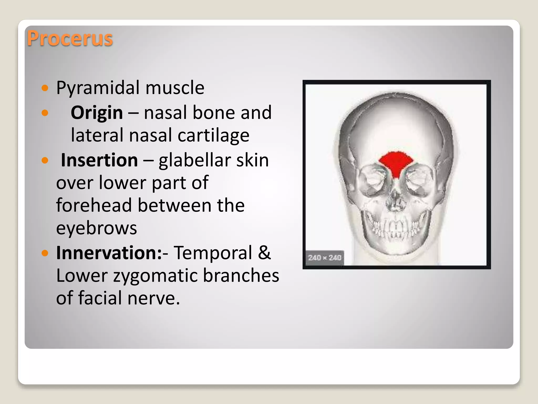 MUSCLES OF FACIAL EXPRESSION.pptx