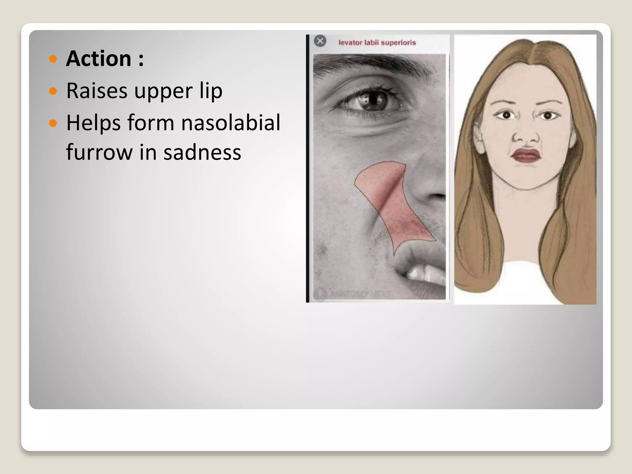 MUSCLES OF FACIAL EXPRESSION.pptx