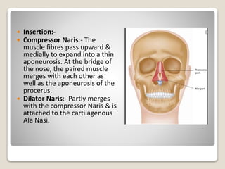 MUSCLES OF FACIAL EXPRESSION.pptx