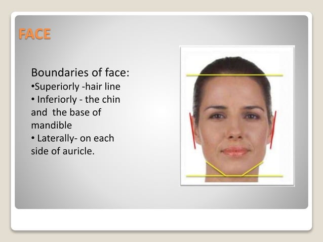 MUSCLES OF FACIAL EXPRESSION.pptx