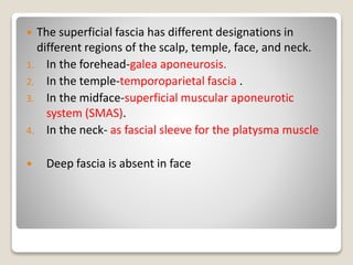 MUSCLES OF FACIAL EXPRESSION.pptx