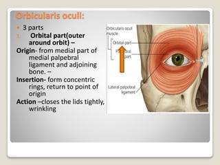 MUSCLES OF FACIAL EXPRESSION.pptx
