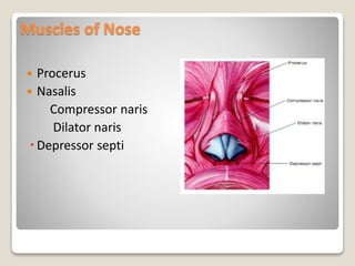 MUSCLES OF FACIAL EXPRESSION.pptx