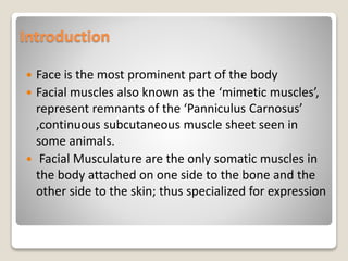 MUSCLES OF FACIAL EXPRESSION.pptx