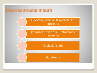 MUSCLES OF FACIAL EXPRESSION.pptx