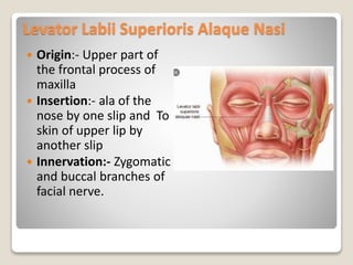 MUSCLES OF FACIAL EXPRESSION.pptx