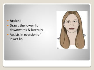 MUSCLES OF FACIAL EXPRESSION.pptx