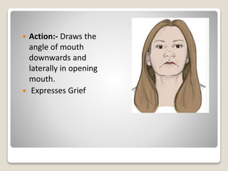 MUSCLES OF FACIAL EXPRESSION.pptx